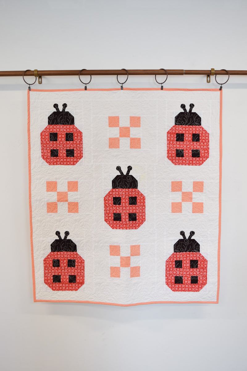 Ladybug Baby Quilt Fabric Kit – My Girlfriend's Quilt Shoppe